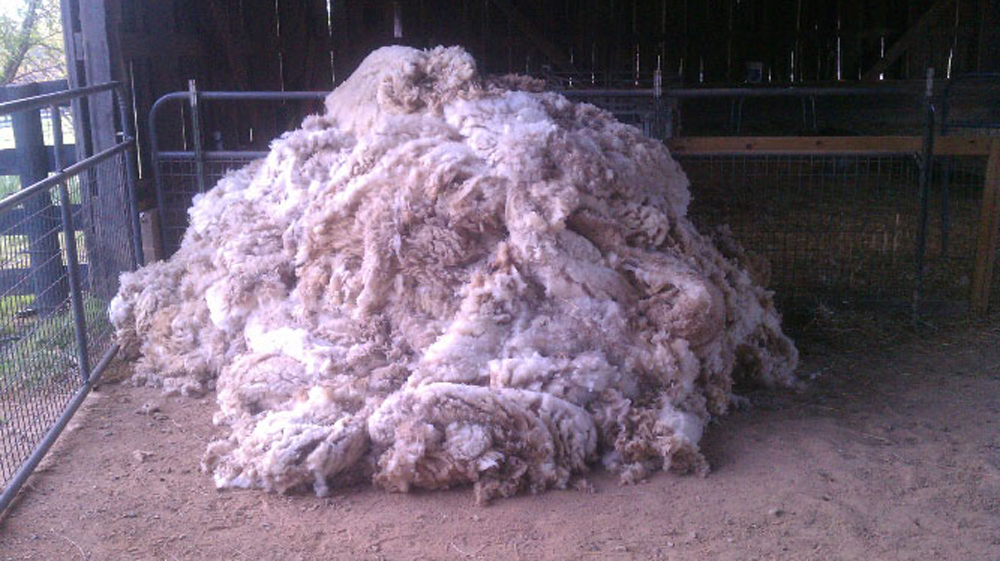 2012 Christmas Letter – Alan Zuschlag's Stuff